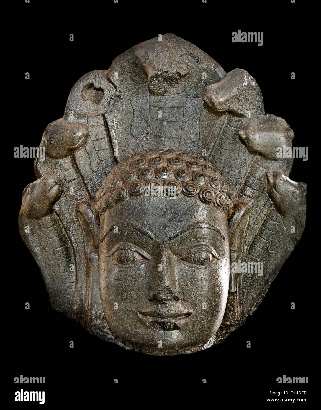 Head of Pārśva Parsvanath Parsvanatha Jain 12 th Cent AD Patancheruvu ...