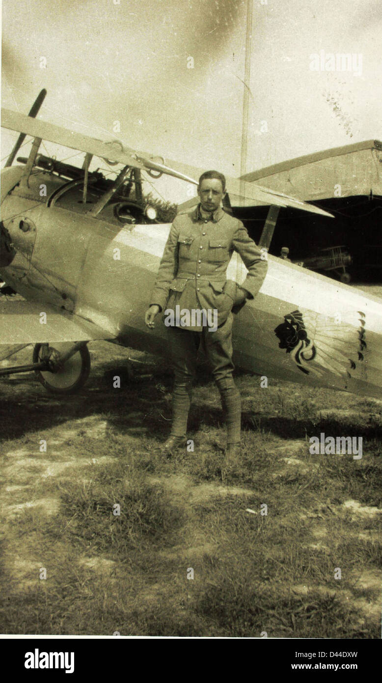 The Nieuport 24 was a French biplane fighter aircraft used during World ...