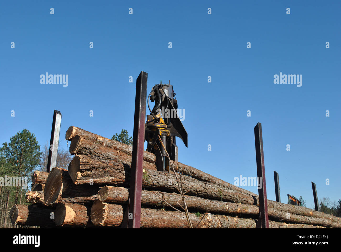 loading pulpwood on truck Stock Photo - Alamy