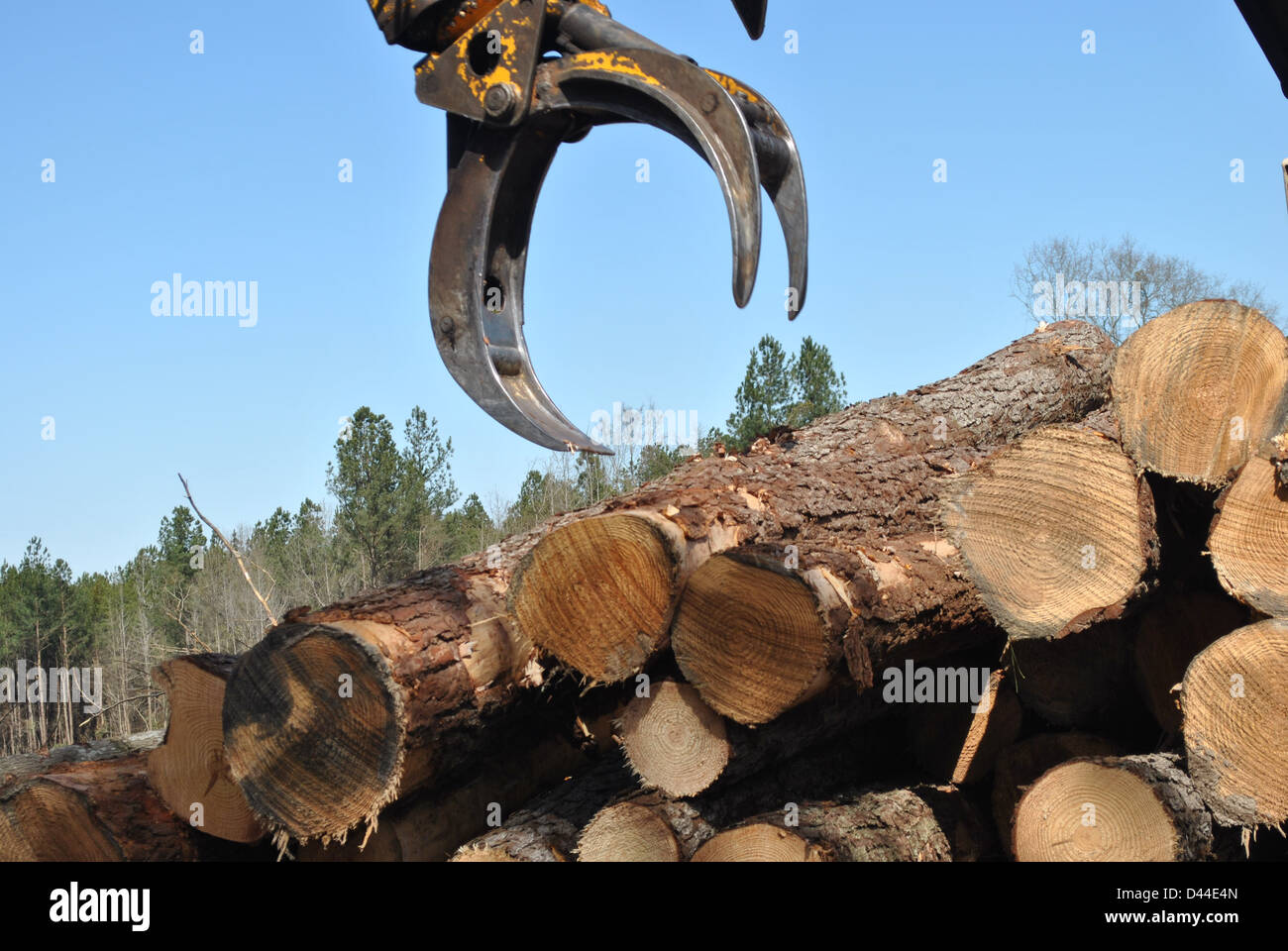 Pulpwood loading hi-res stock photography and images - Alamy