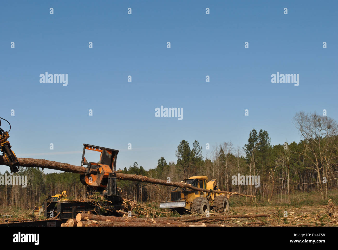 Snipping tree hi-res stock photography and images - Alamy