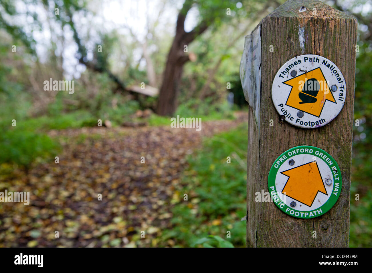 Trail marker on the Thames Path near Oxford Stock Photo - Alamy