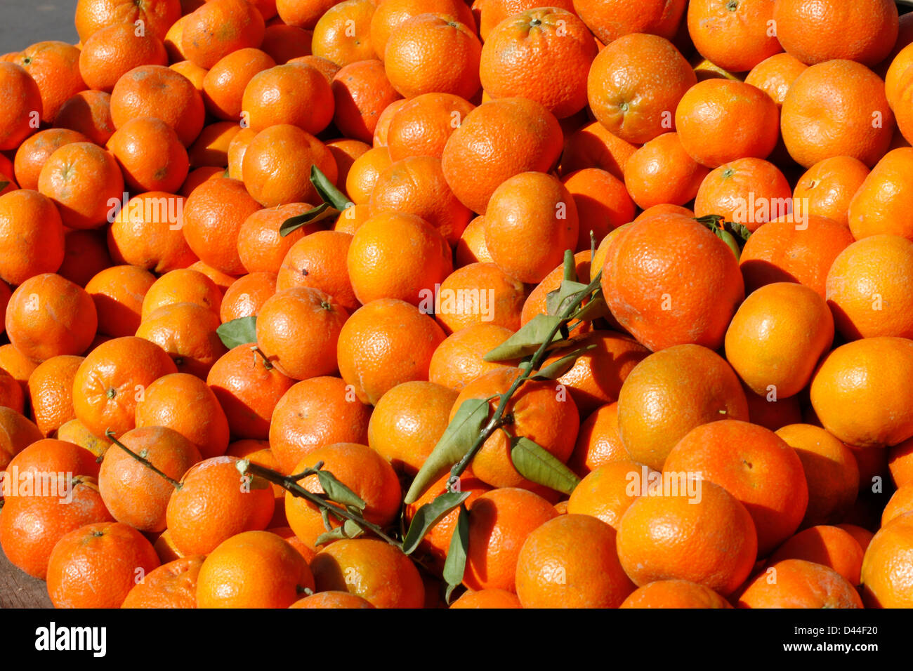 Moroccan oranges for sale hi-res stock photography and images - Alamy
