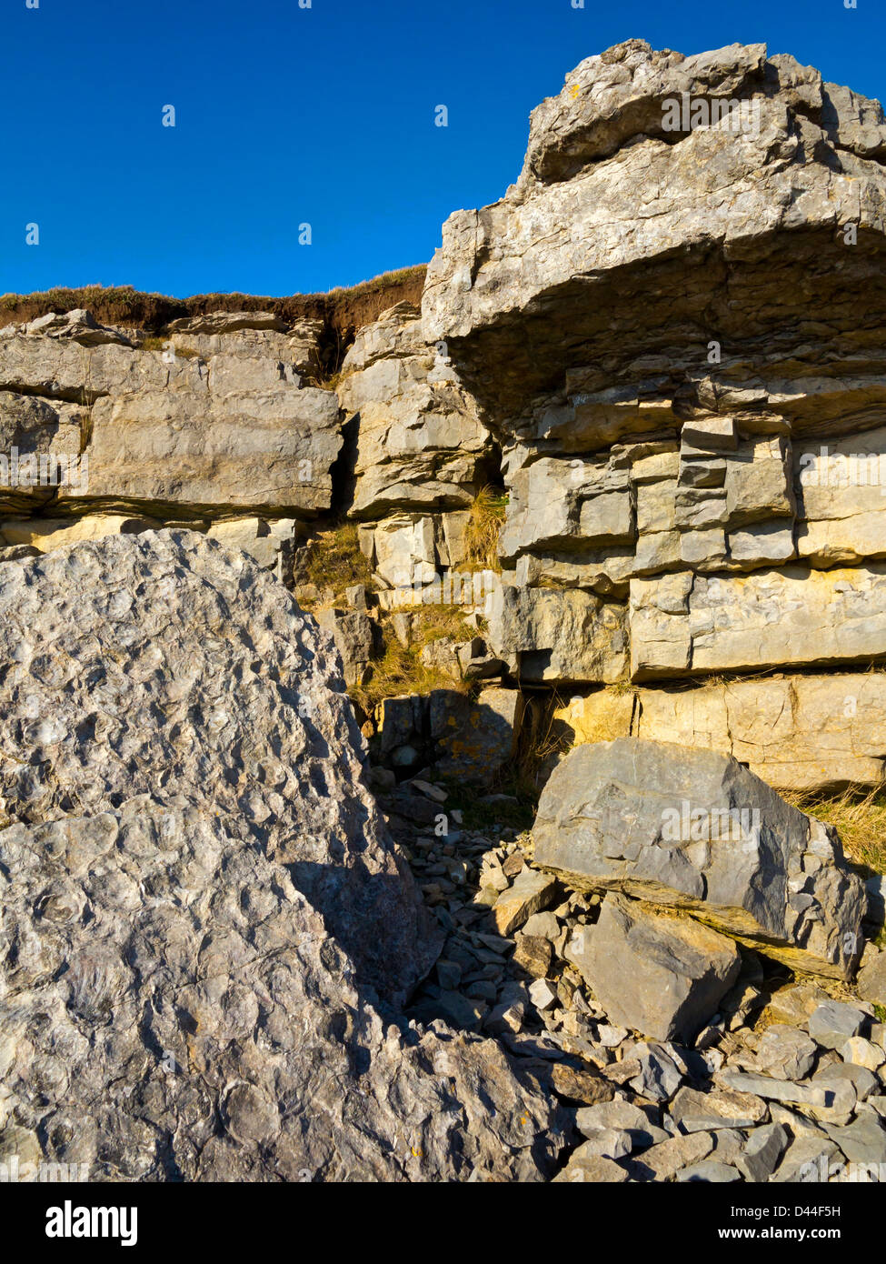 Limestone fossils north wales hi-res stock photography and images - Alamy