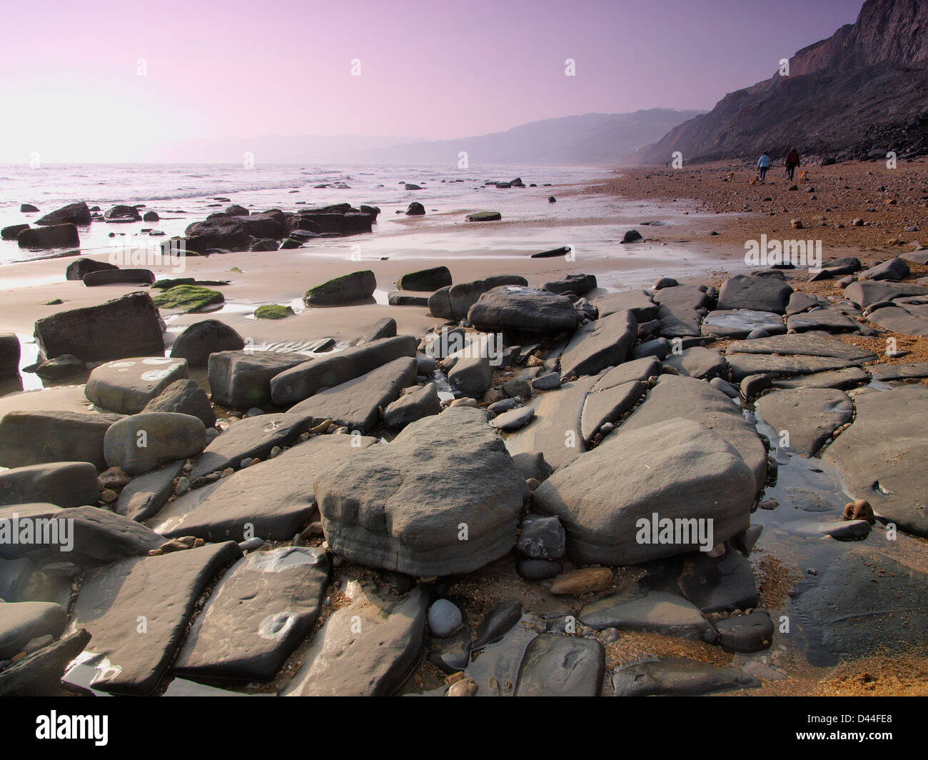 Jurassic rocks at low tide Stock Photo - Alamy
