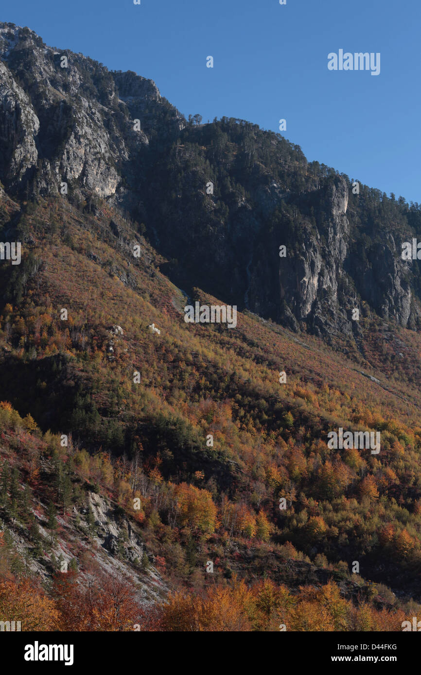 Fall trees theth albania hi-res stock photography and images - Alamy