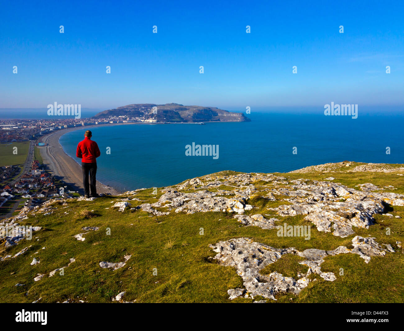 Man enjoying view from the Little Orme towards Llandudno and the Great Orme a headland on the ...