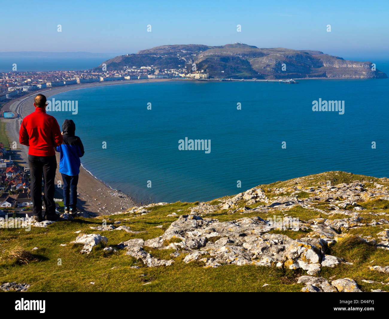 Father and son looking from Little Orme towards Llandudno and the Great Orme a headland on the ...