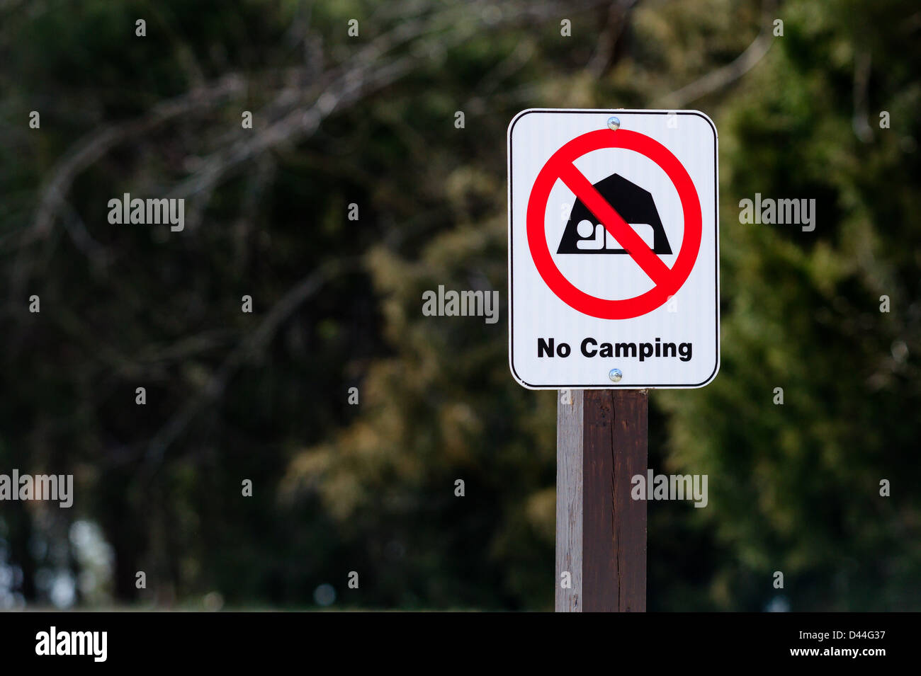 No Camping Sign In A Park Stock Photo - Alamy