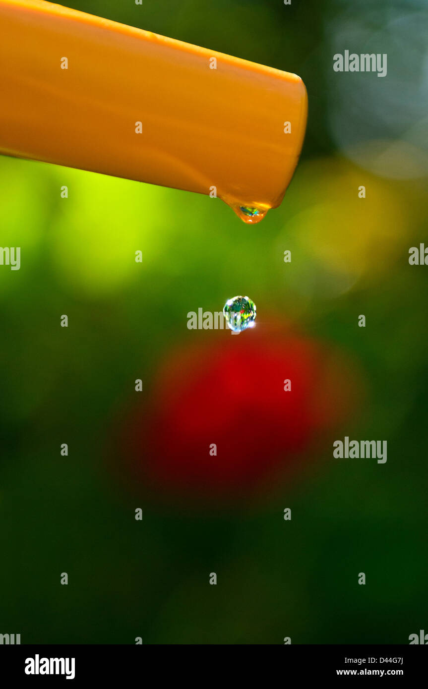 Hose Nozzle Water Drip Stock Photos & Hose Nozzle Water Drip Stock ...