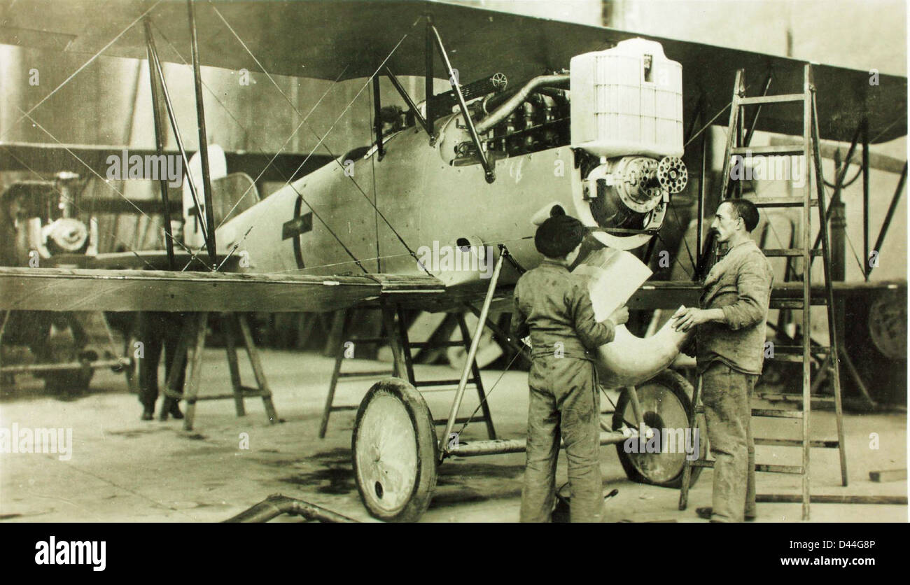 The Pfalz D.XII was a German biplane fighter aircraft used during World ...