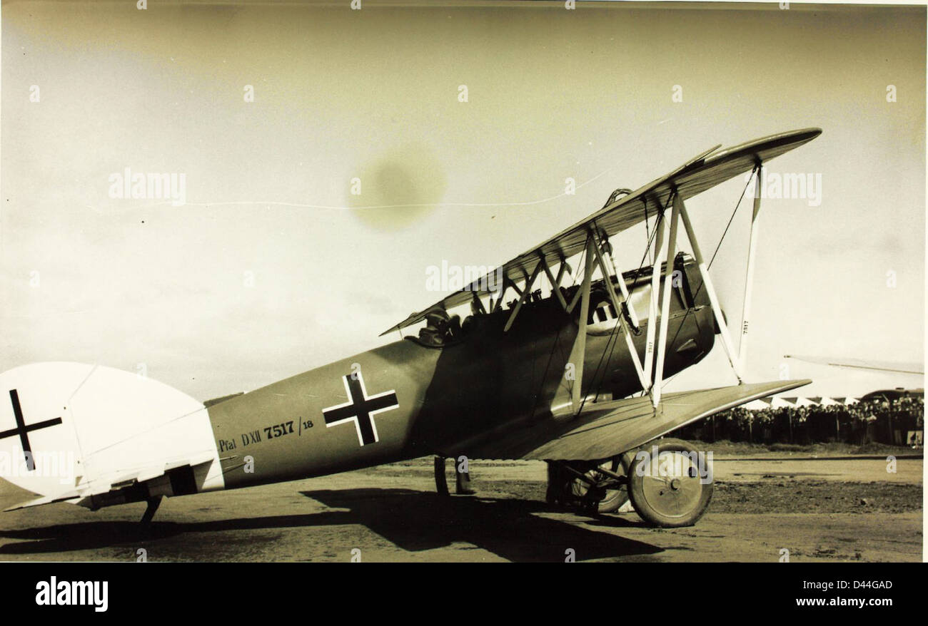 The Pfalz D.XII was a German biplane fighter aircraft used during World ...