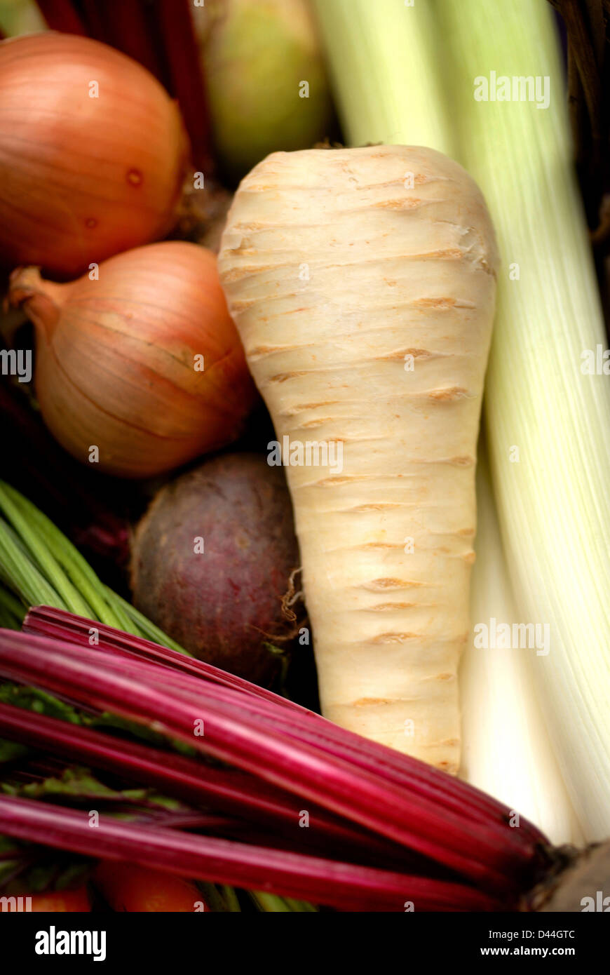 Collection of root vegetables Stock Photo - Alamy