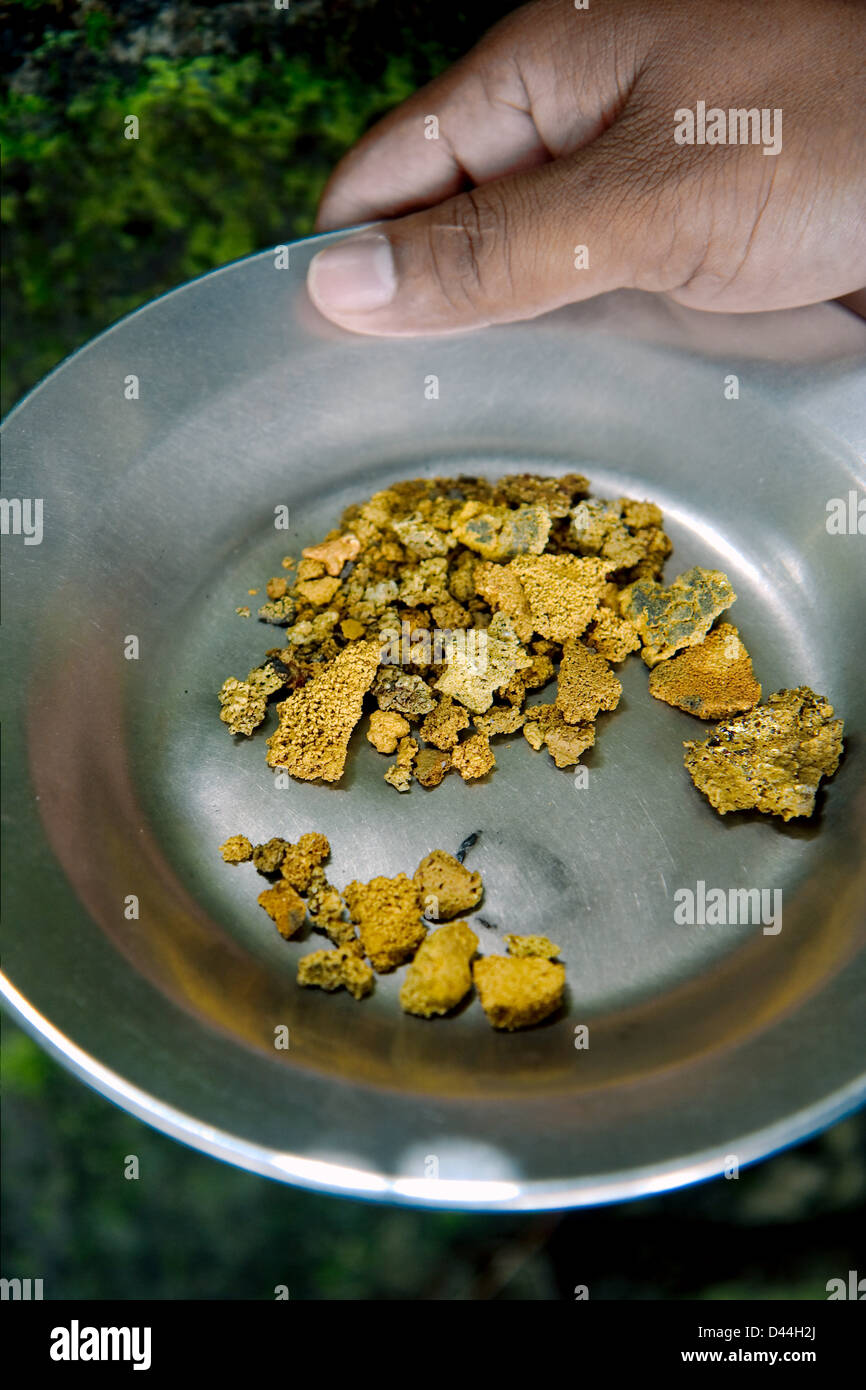 Gold flakes nuggets hi-res stock photography and images - Alamy