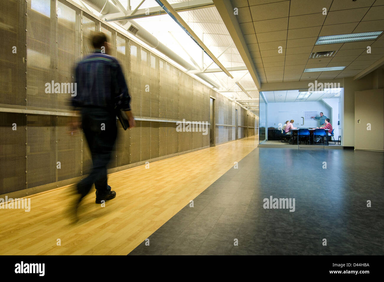 Employee, executive walks Corporate office hallway towards glass ...