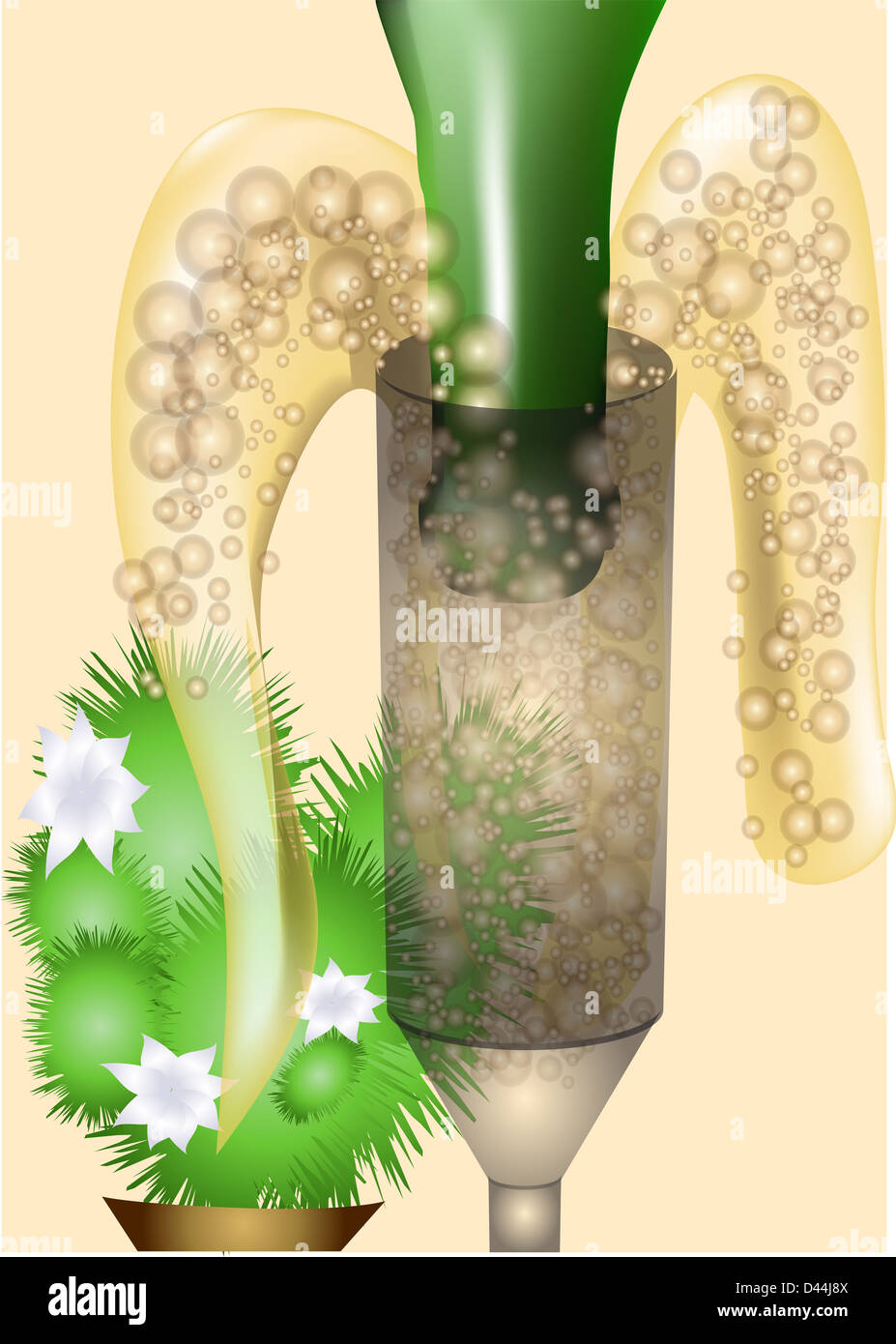 Champagne and cactus. Jesting abstract background Stock Photo - Alamy