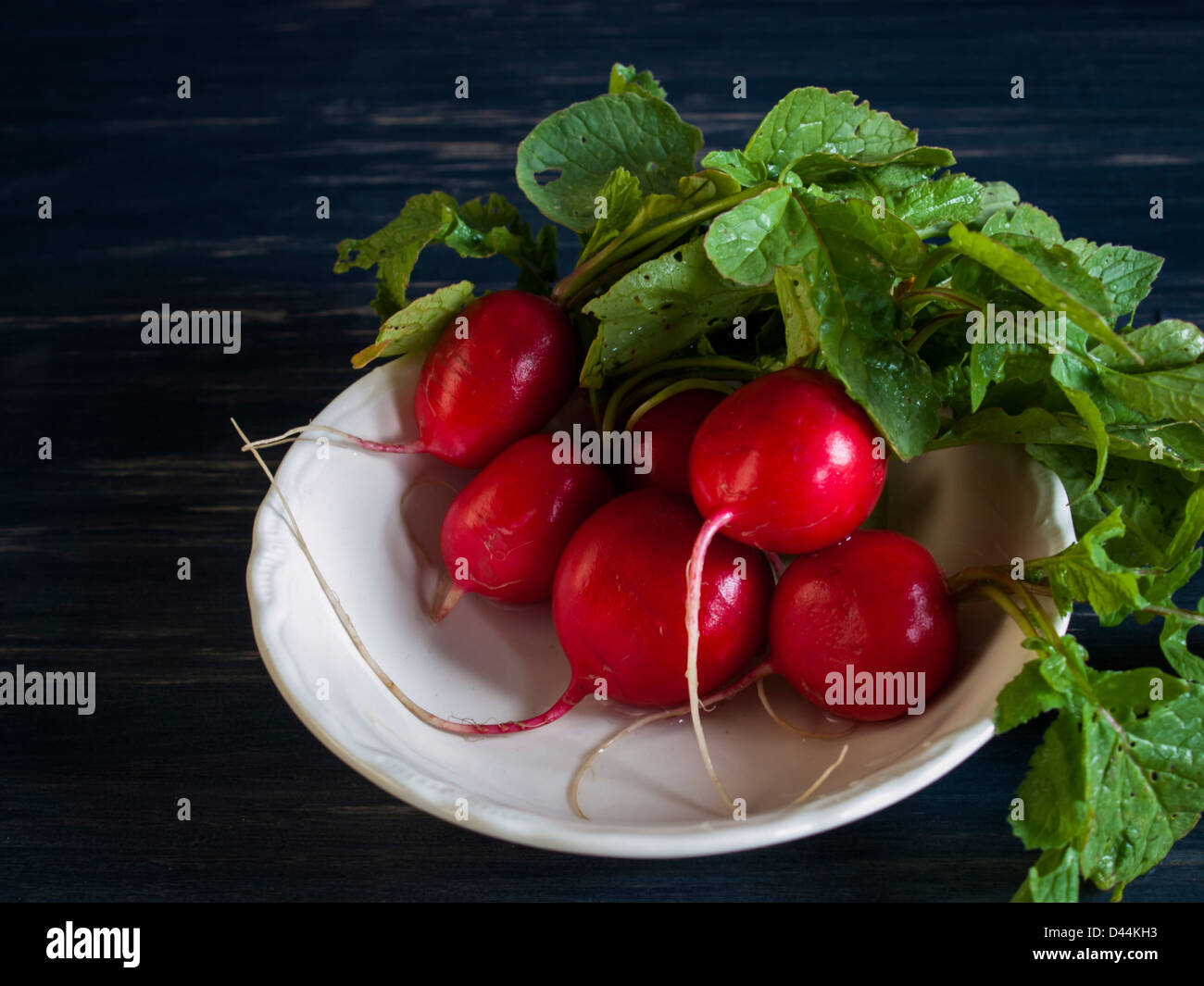 The radish is an edible root vegetable of the that was domesticated in ...