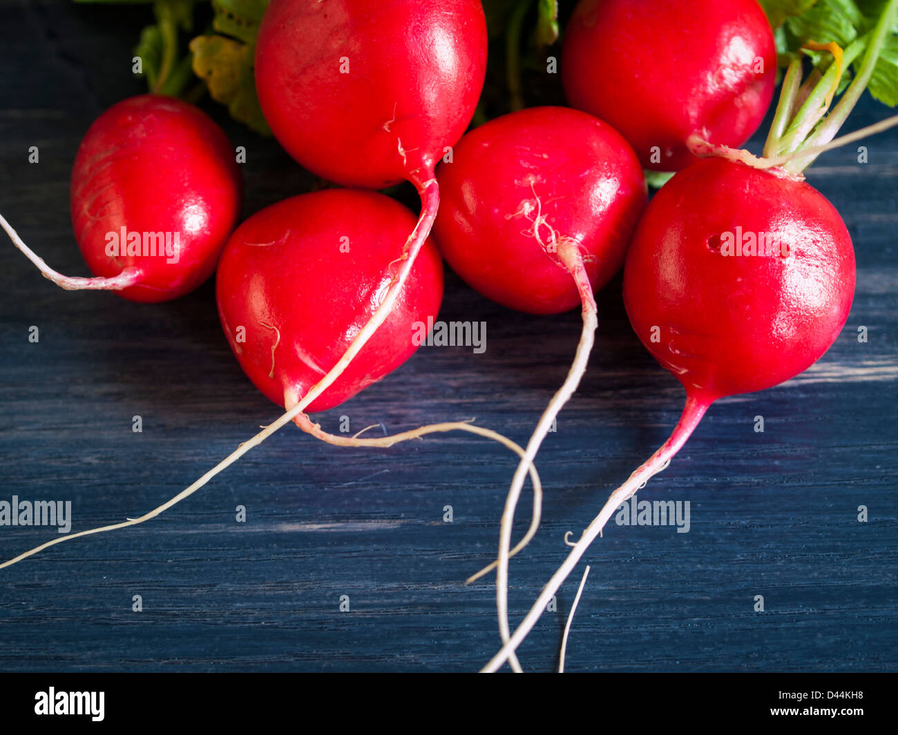 The radish is an edible root vegetable of the that was domesticated in ...