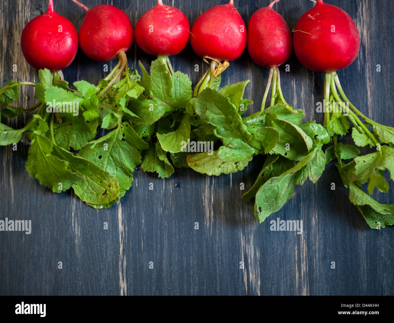 The radish is an edible root vegetable of the that was domesticated in ...