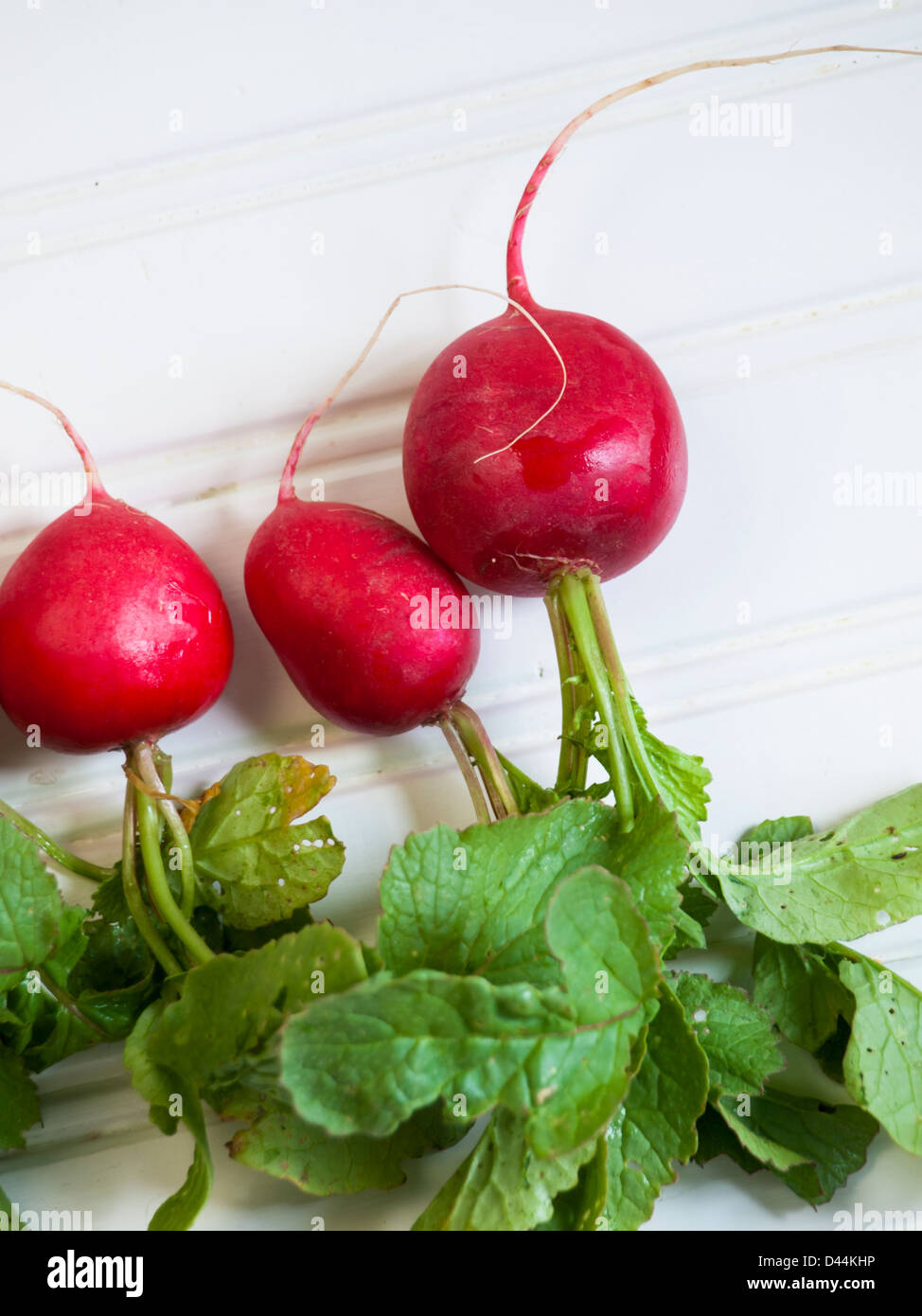 The radish is an edible root vegetable of the that was domesticated in ...