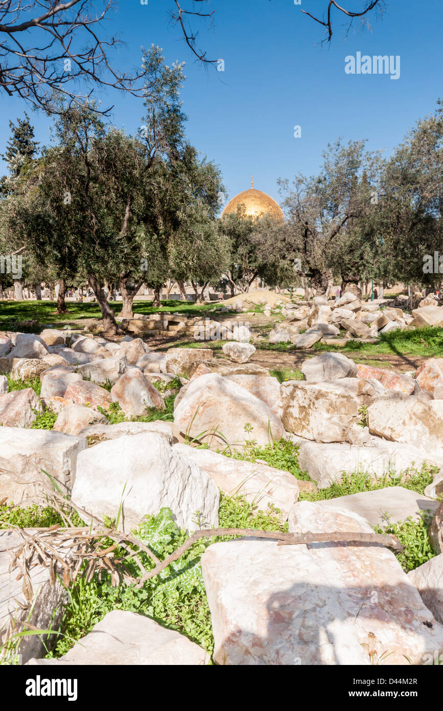 Temple Mount, Israel. Stones from ancient ruins thrown in a field. The ...
