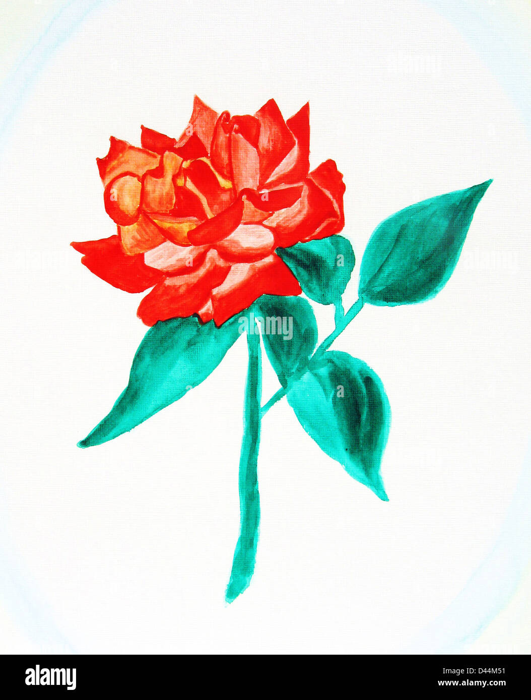 Red rose, hand drawn painting, water colours Stock Photo - Alamy