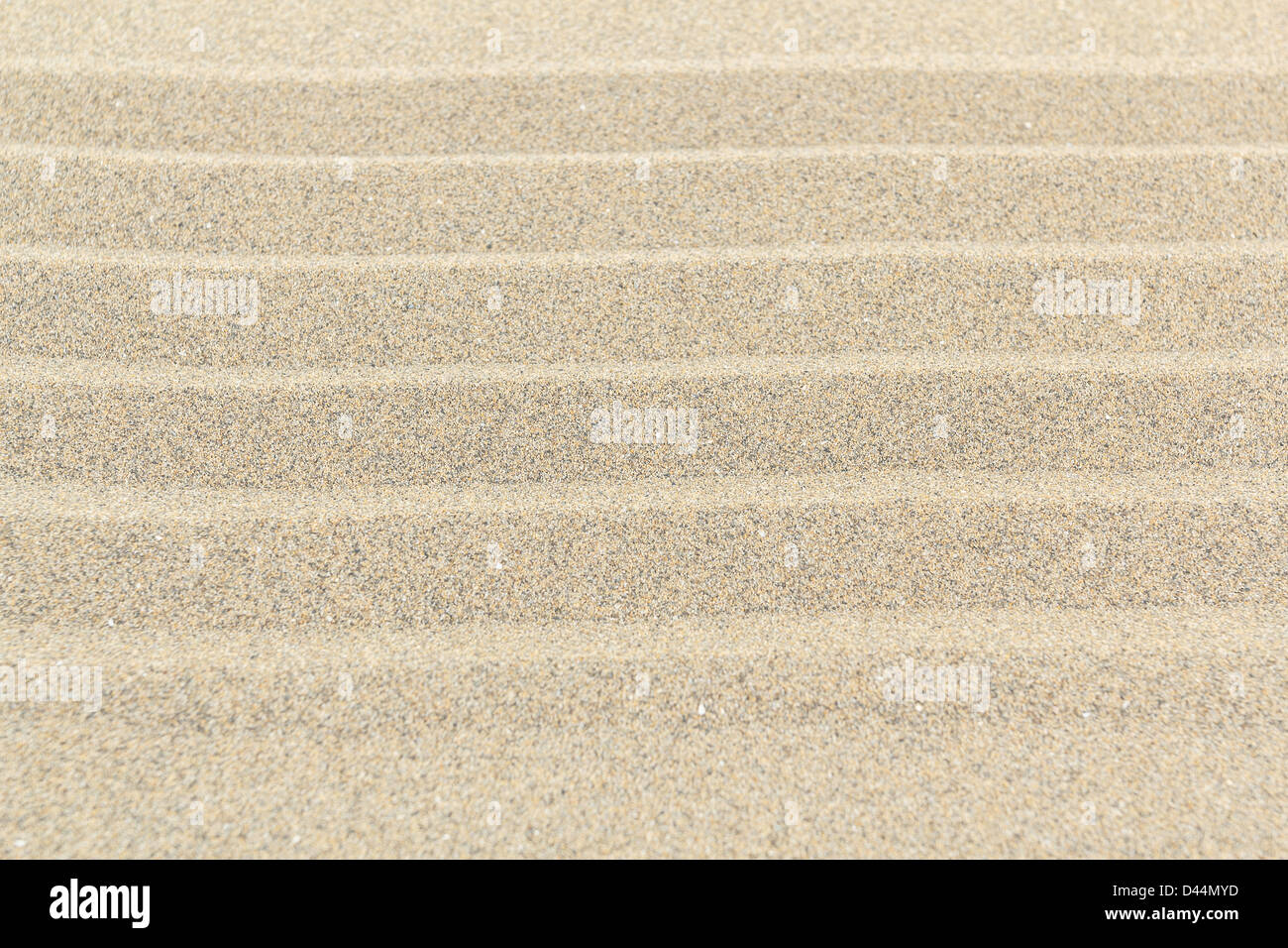 Sandy beach background with lines. Detailed sand texture. Top view ...
