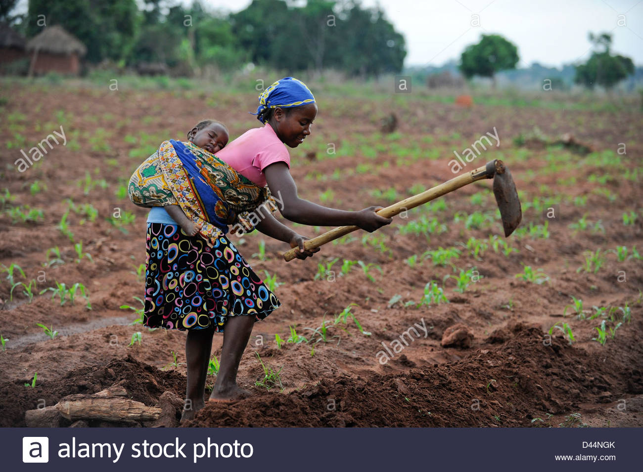 Hoe Farming Africa Stock Photos & Hoe Farming Africa Stock Images - Alamy