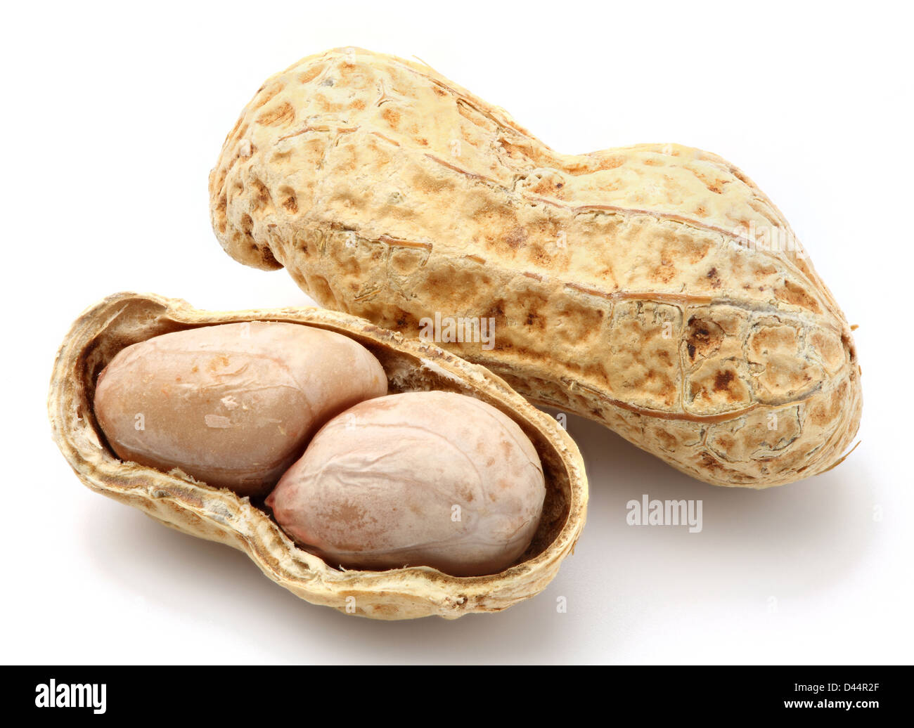Baked Thai peanut (ground nut) isolated on white Stock Photo - Alamy