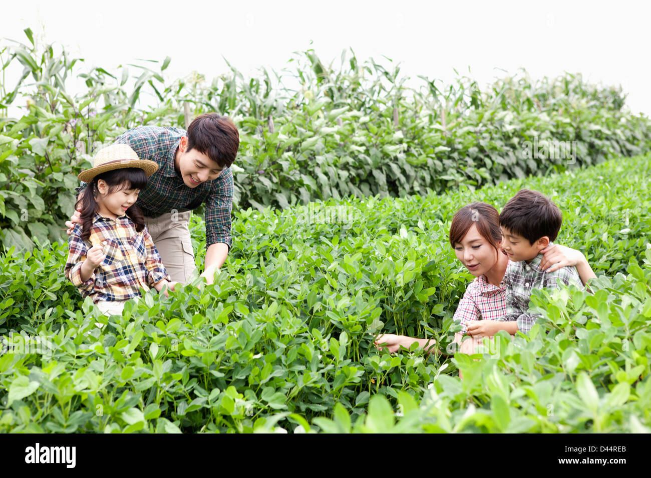 a family in a farm Stock Photo - Alamy