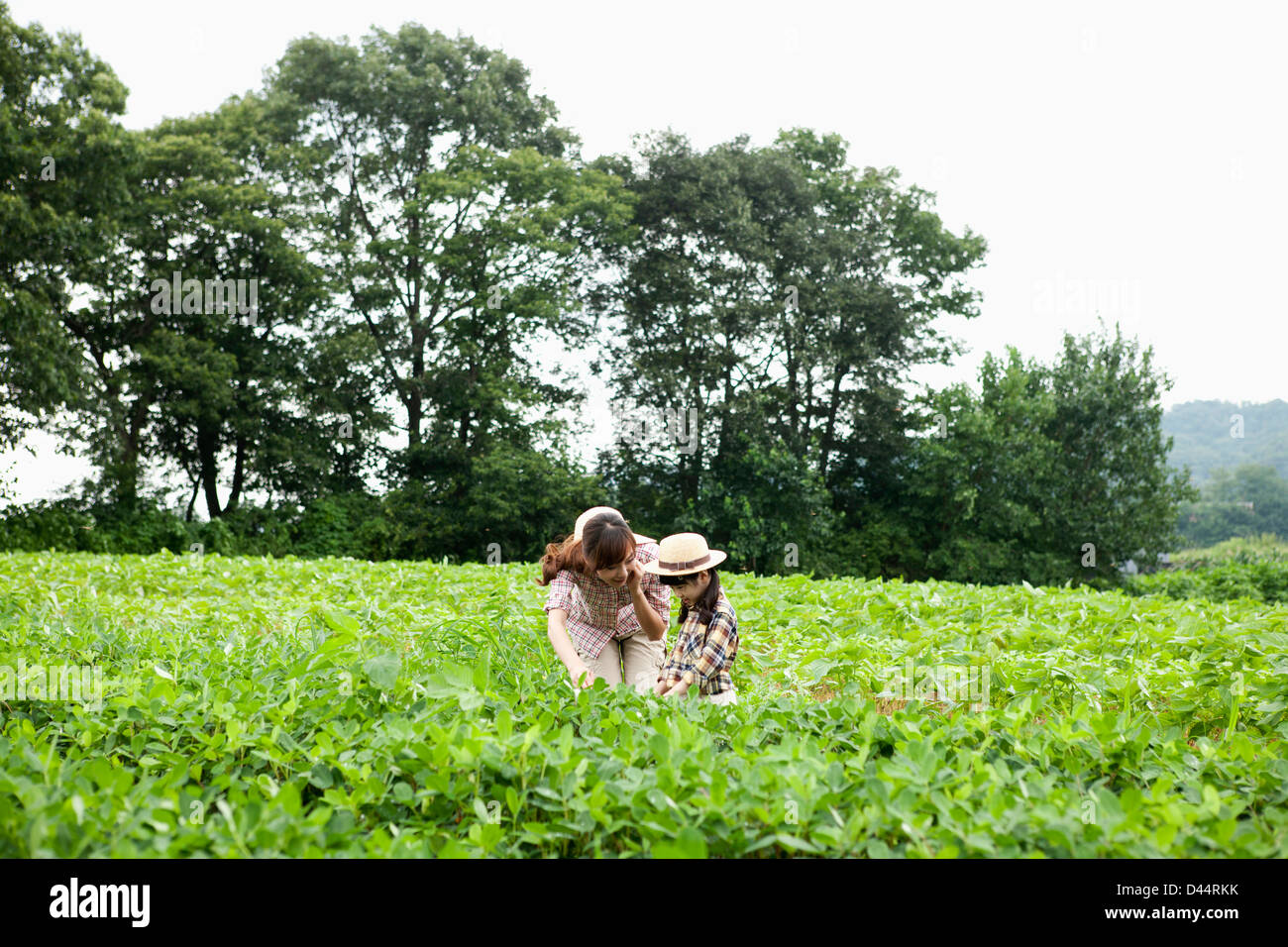 mother and daughter in a farm Stock Photo - Alamy