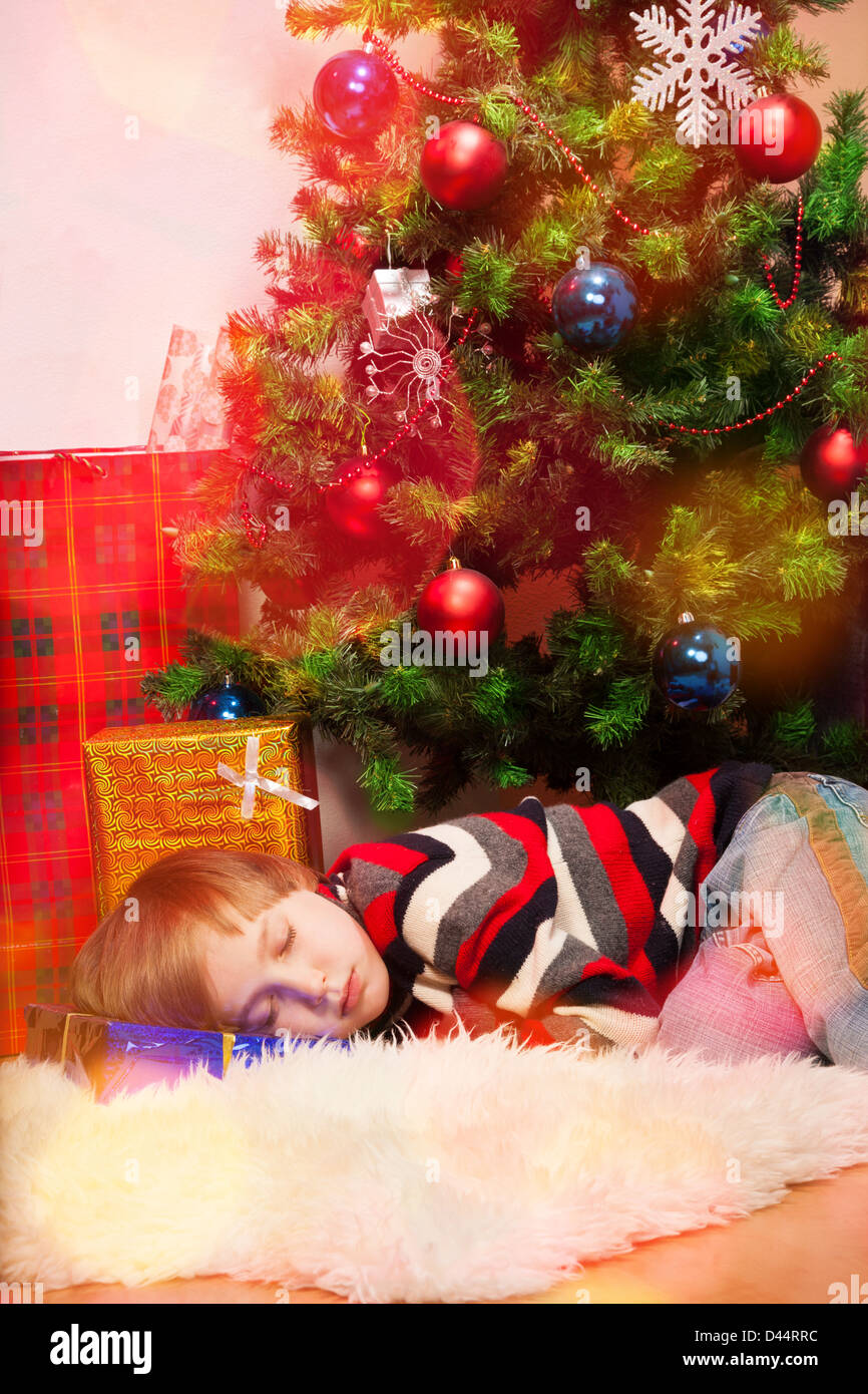Christmas tree indoors fell hi-res stock photography and images - Alamy