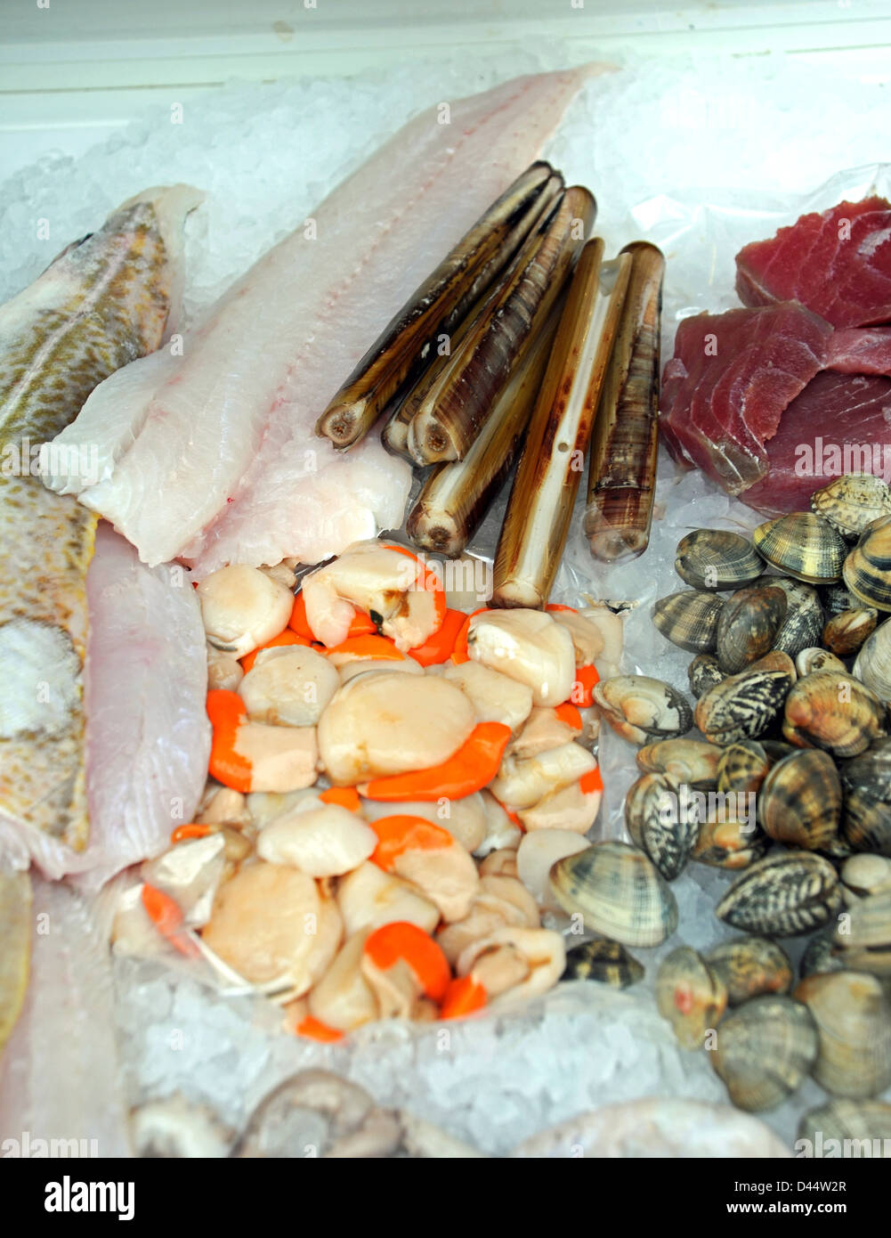 Razor clams uk hi-res stock photography and images - Alamy