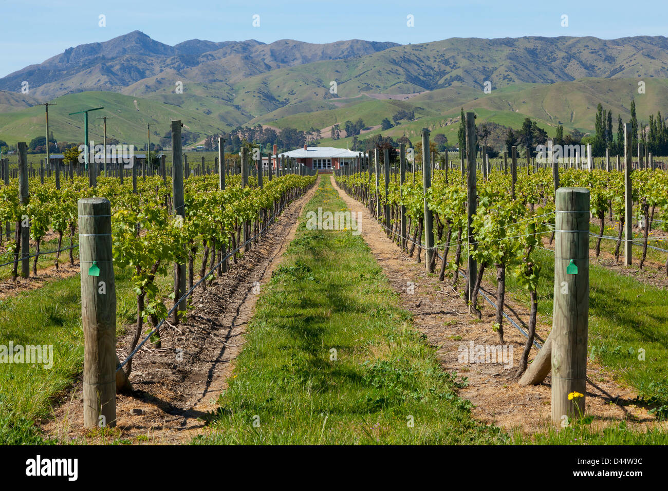 Wairau Valley New Zealand High Resolution Stock Photography and Images ...