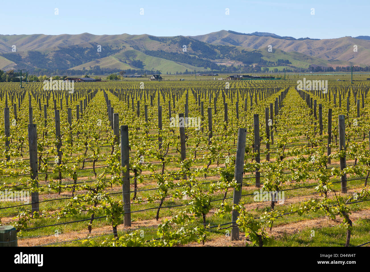 Wairau valley new zealand hi-res stock photography and images - Alamy