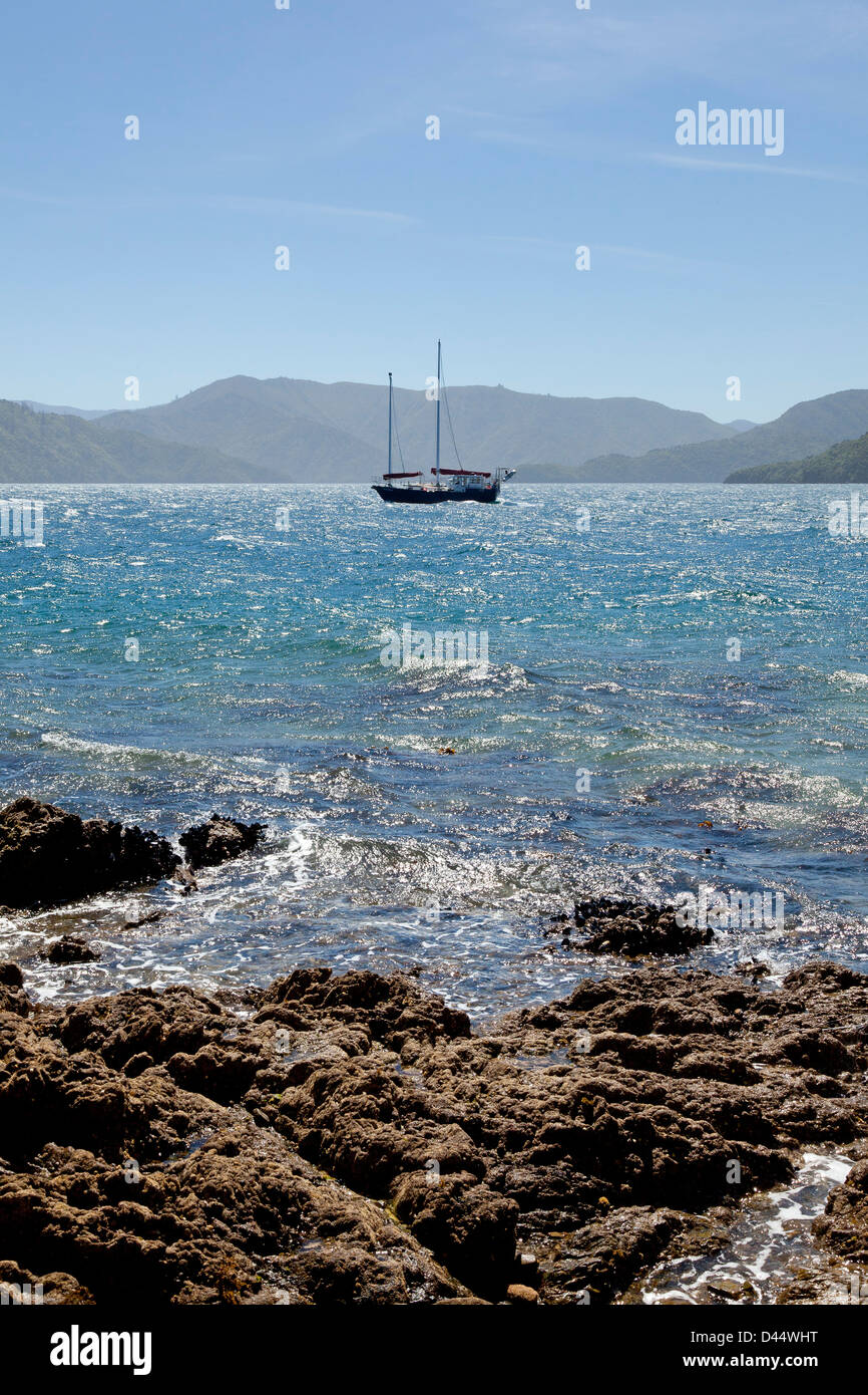 Nelson bay new zealand hi-res stock photography and images - Alamy