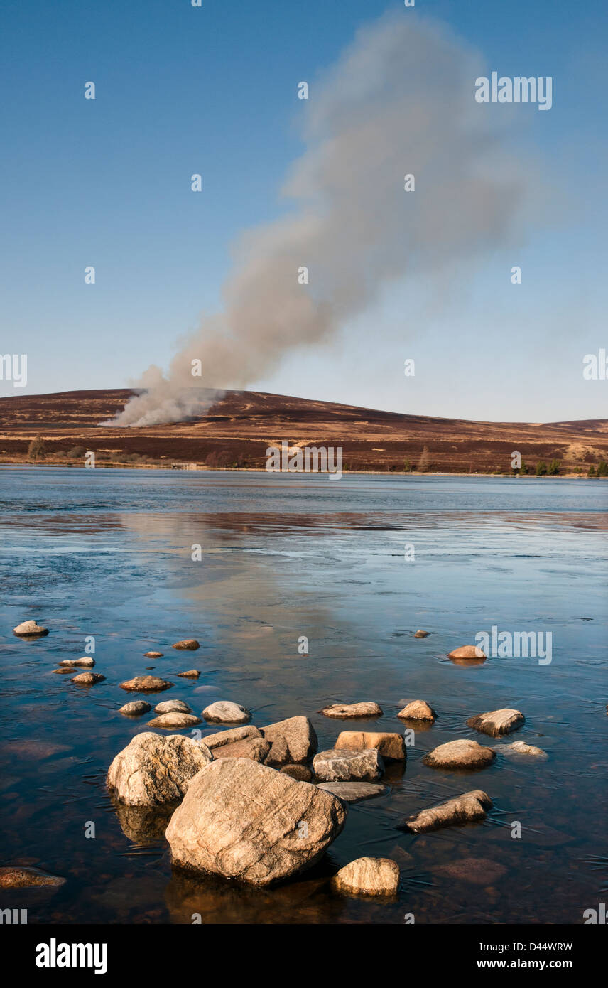 heather burning;lochindorb;estate;cairngorms national park;highlands ...