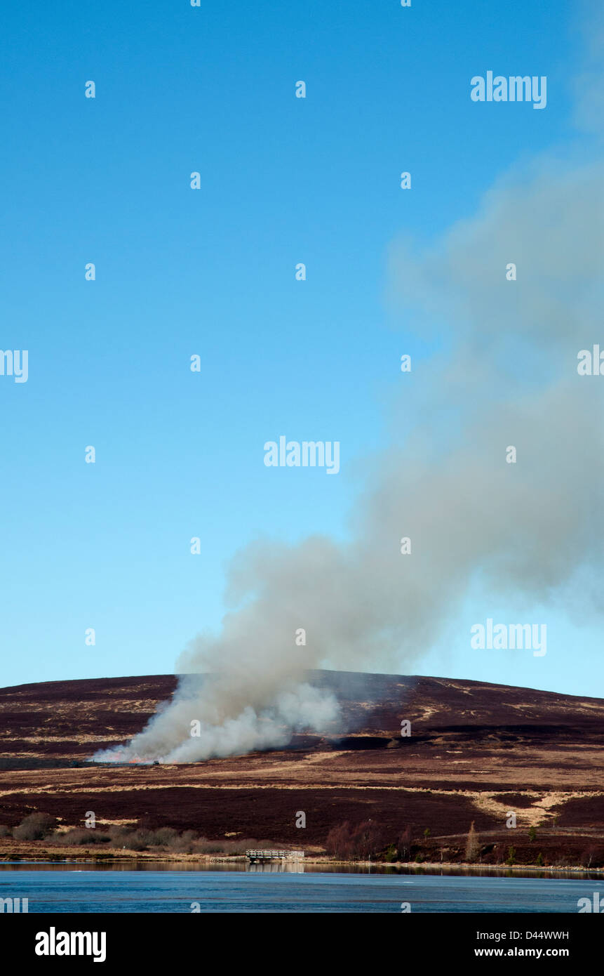heather burning;lochindorb;estate;cairngorms national park;highlands ...