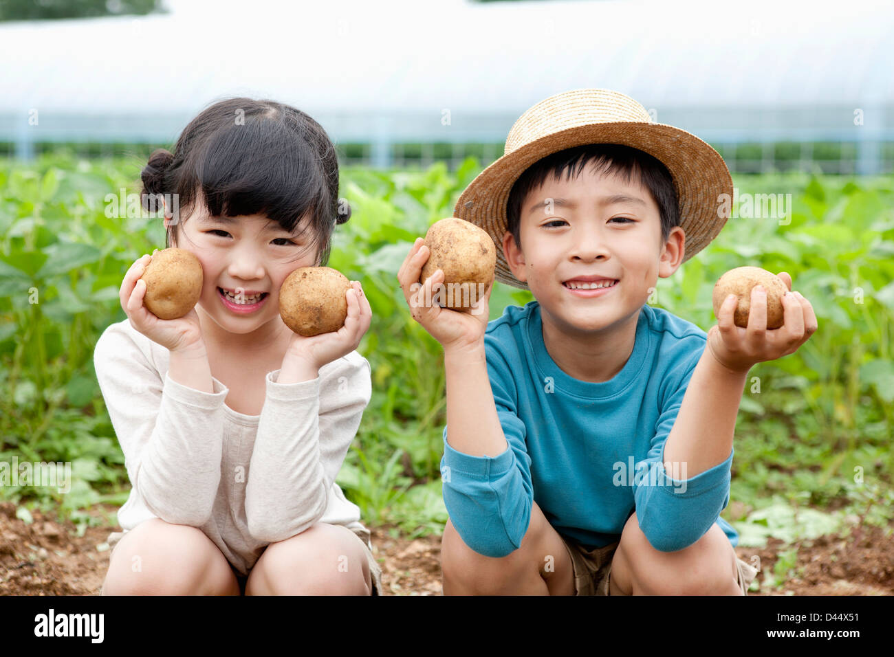 kids in a farm posing with potatoes Stock Photo - Alamy