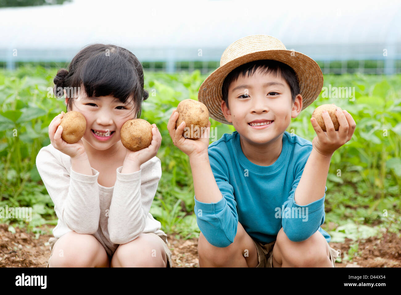 kids in a farm posing with potatoes Stock Photo - Alamy