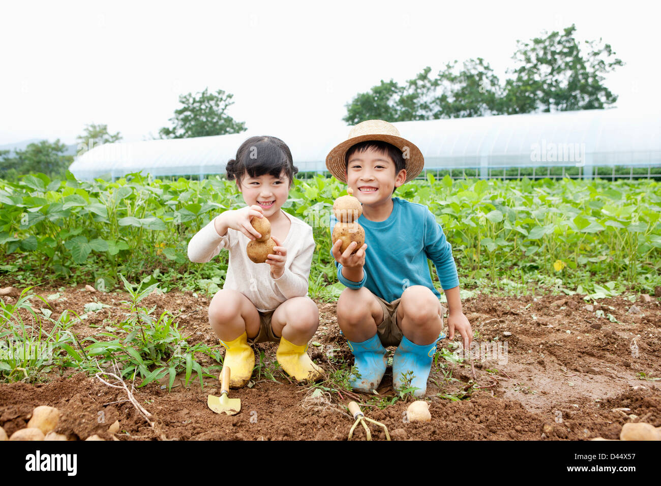 kids in a farm posing with potatoes Stock Photo - Alamy