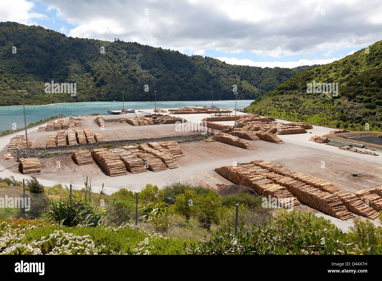 Timber storage at Waimahara Wharf,Shakespeare bay, New Zealand Stock ...