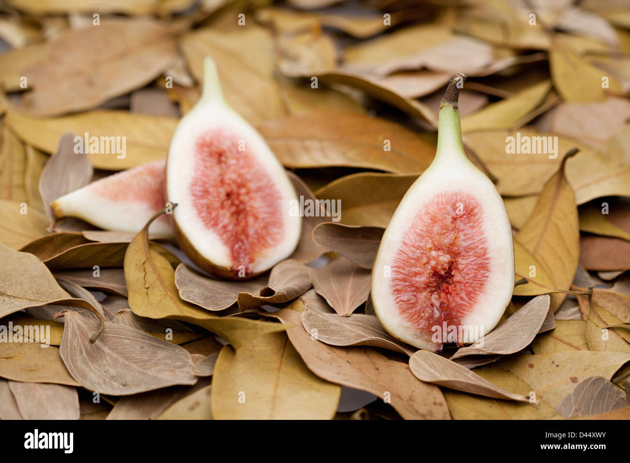 autumn fruits with leaves Stock Photo - Alamy