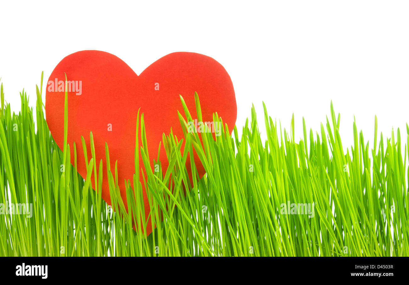 Spring and Valentine spirit - heart shape in spring fresh grass Stock ...
