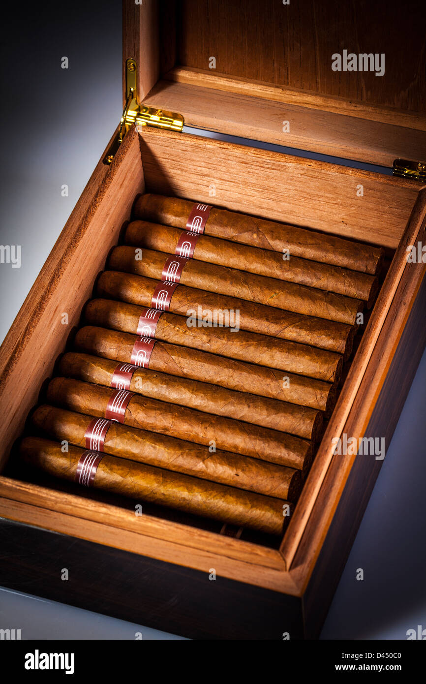 Close up of cigars in open humidor box Stock Photo - Alamy