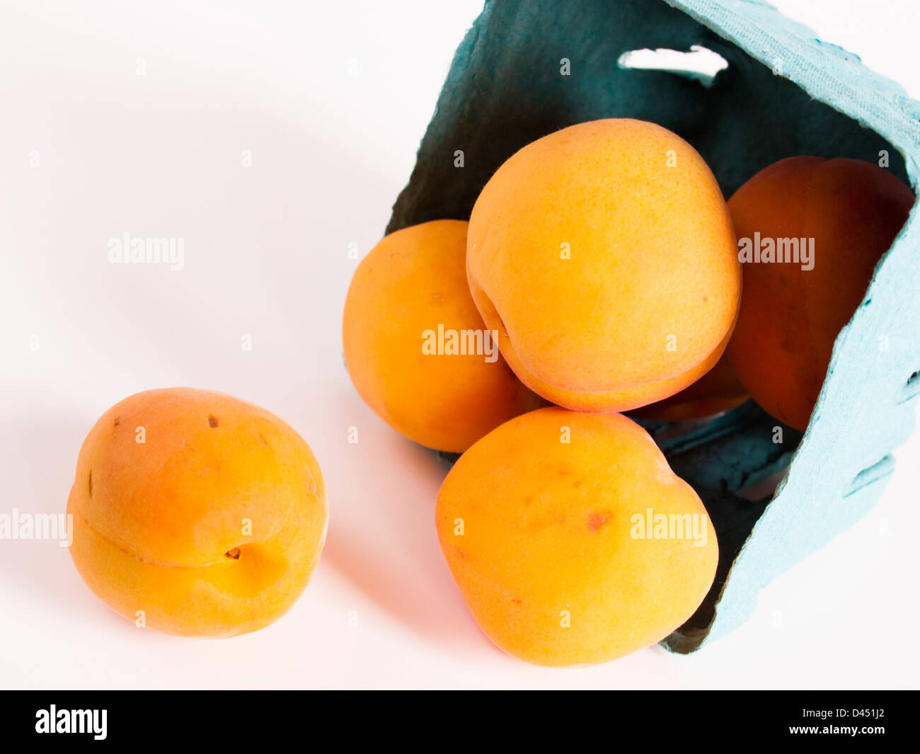 The apricot fruit is a drupe similar to a small peach, from yellow to ...