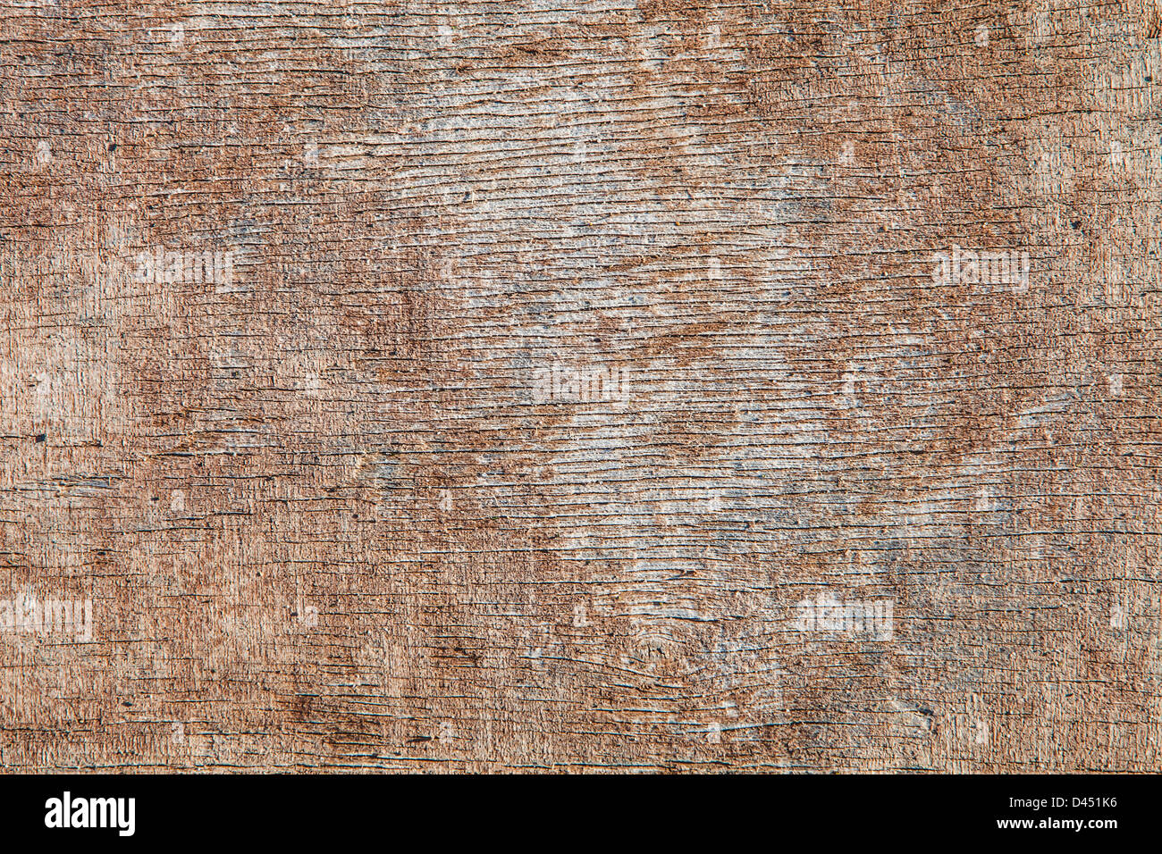 fregene, italy, europe Stock Photo - Alamy