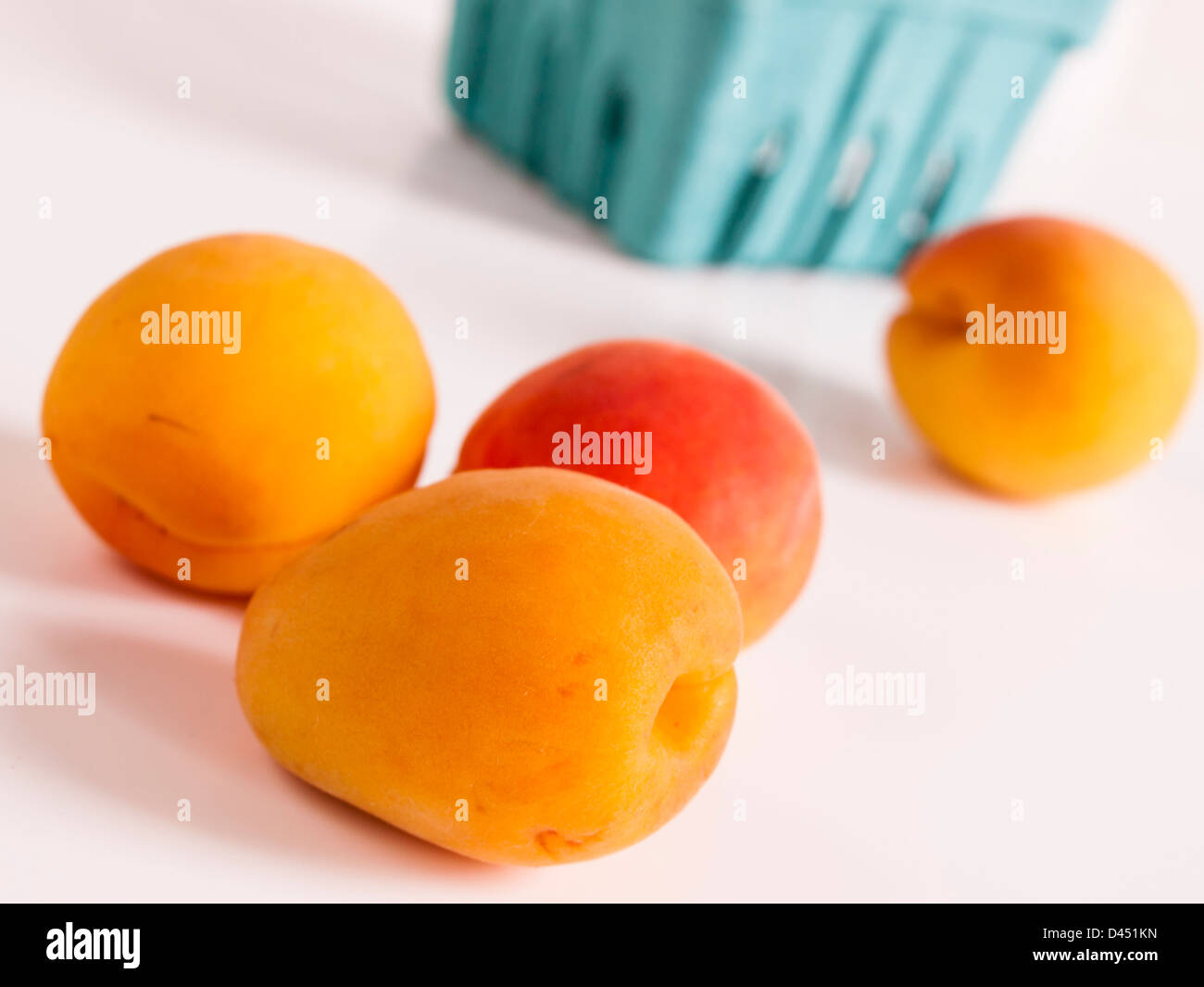 The apricot fruit is a drupe similar to a small peach, from yellow to ...