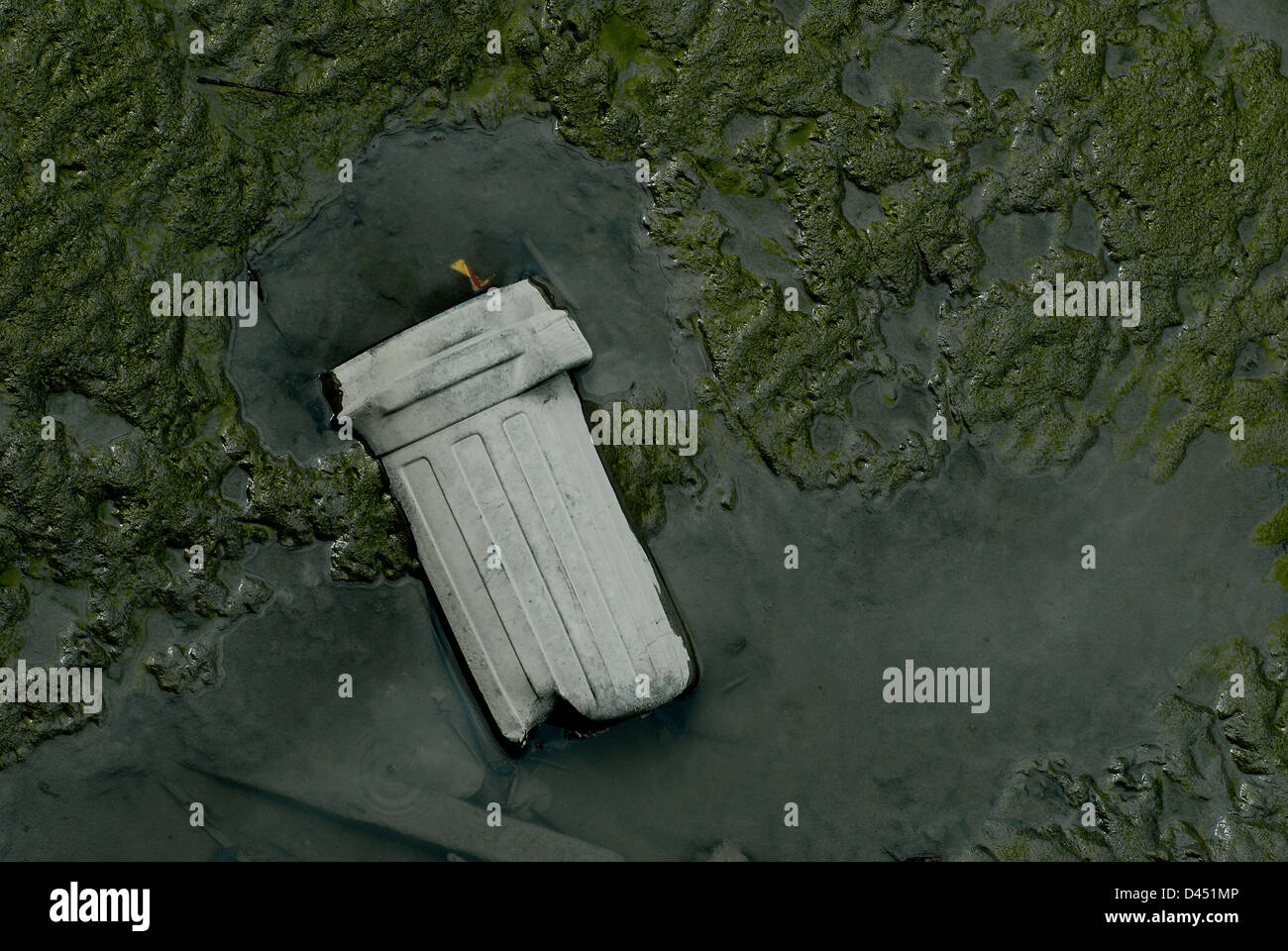 Thrown into river hi-res stock photography and images - Alamy