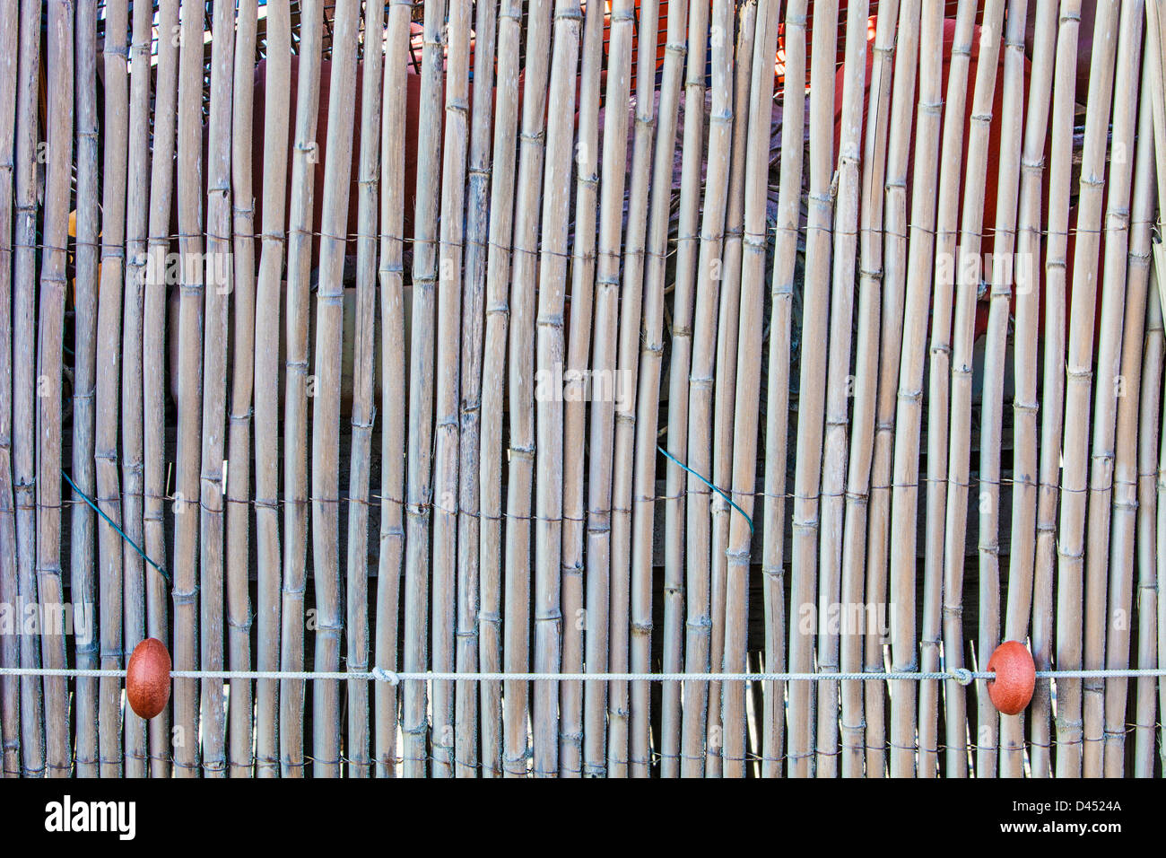 fregene, italy, europe Stock Photo - Alamy